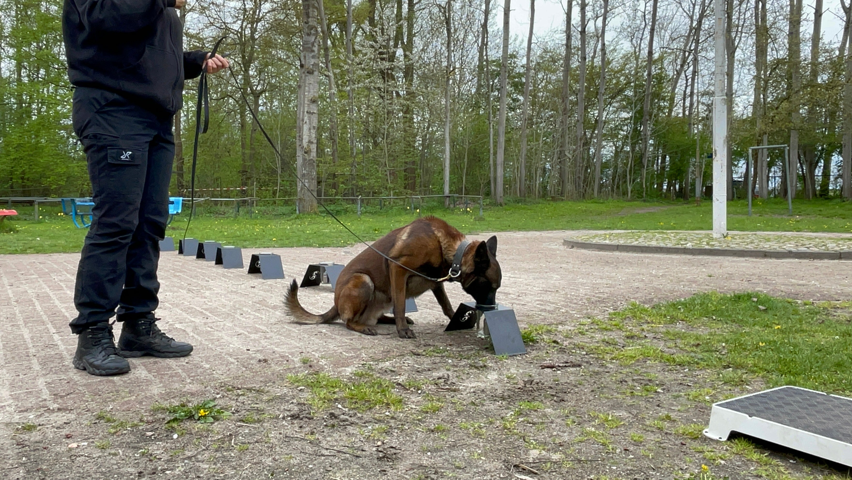 Line up and ORT sets – Simon Prins