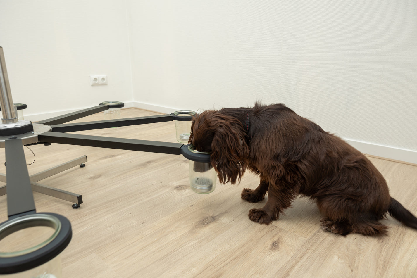 ACT! Smart Wheel ™ The scent wheel with 'sensors & data' – Simon Prins